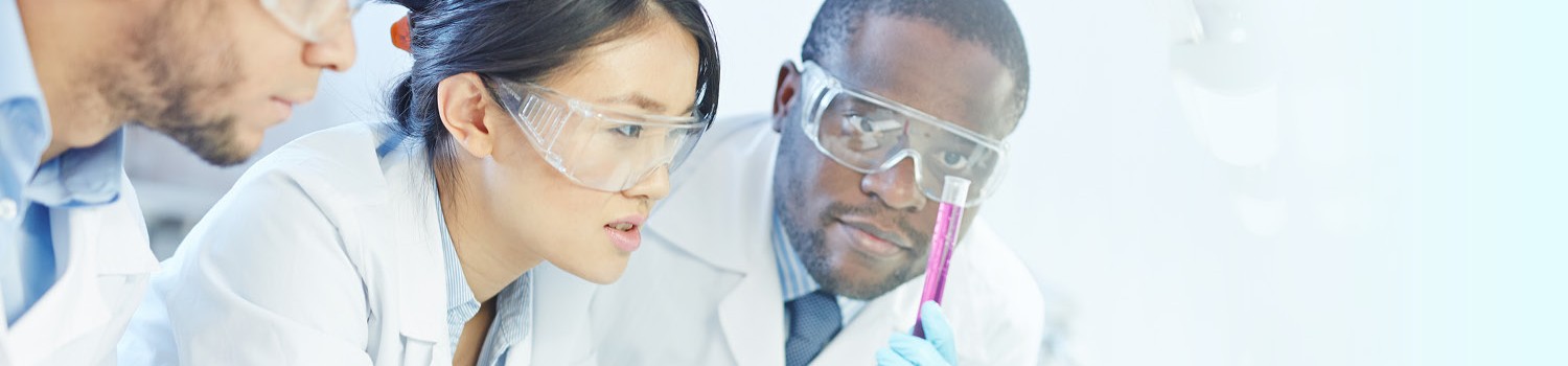 Convenzis - Our Clients